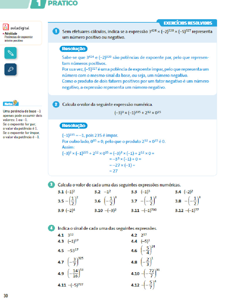 Manual Prisma p30 | PDF