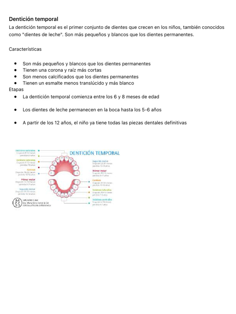 Dentición Temporal | PDF