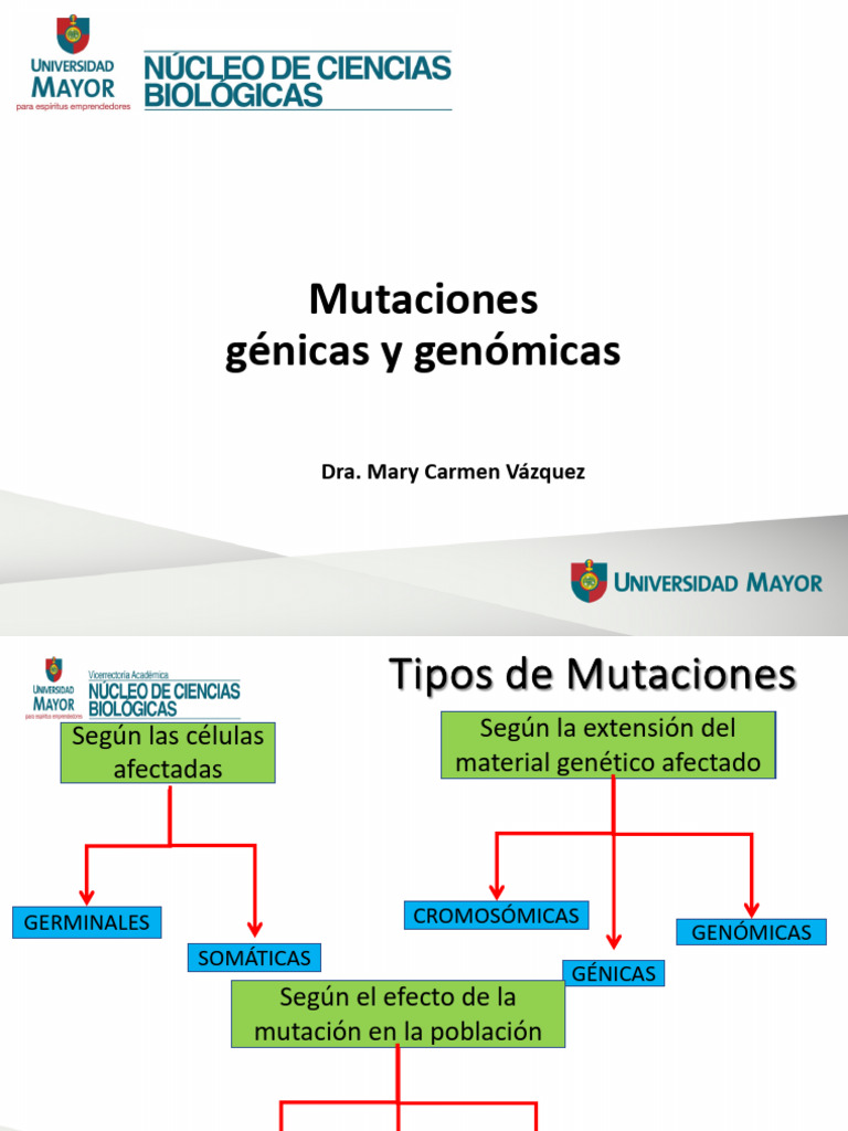 Tipos De Mutaciones Genéticas Pdf – SSKEHG