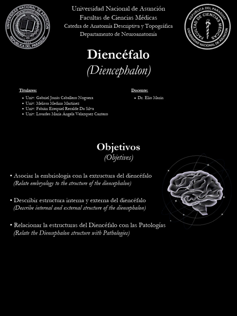 Neuroanatomía del Diencéfalo | PDF | Hipotálamo | Anatomía humana