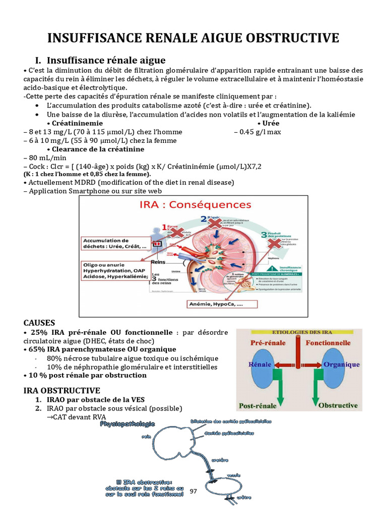 Insuffisance rénale aiguë obstructive | PDF | Spécialités médicales ...