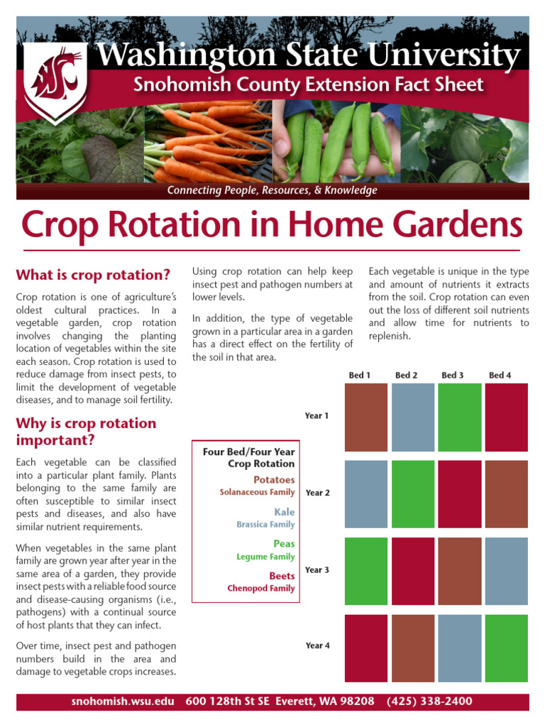 Crop Rotation in Home Gardens | PDF | Crop Rotation | Vegetables