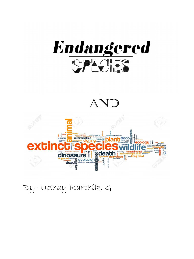 Endangered and Extinct Animals | PDF | Rhinoceros | Leopard