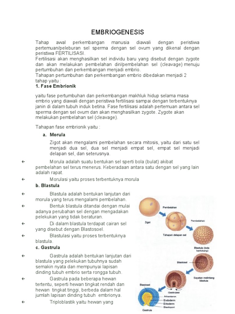 EMBRIOGENESIS | PDF | Pengembangan Diri | Kesehatan Holistik