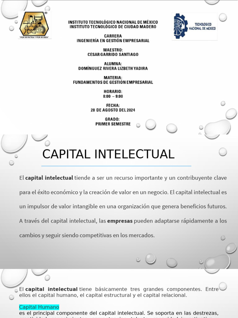 Capital Intelectual | PDF | Business | Innovación