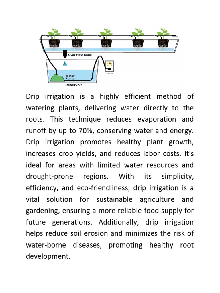 Drip Irrigation | PDF