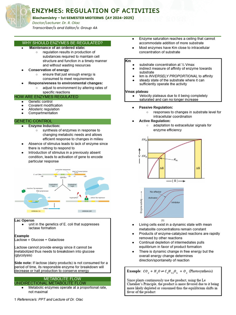 Biochemistry Enzymes Regulation of Activities | PDF | Enzyme | Histone