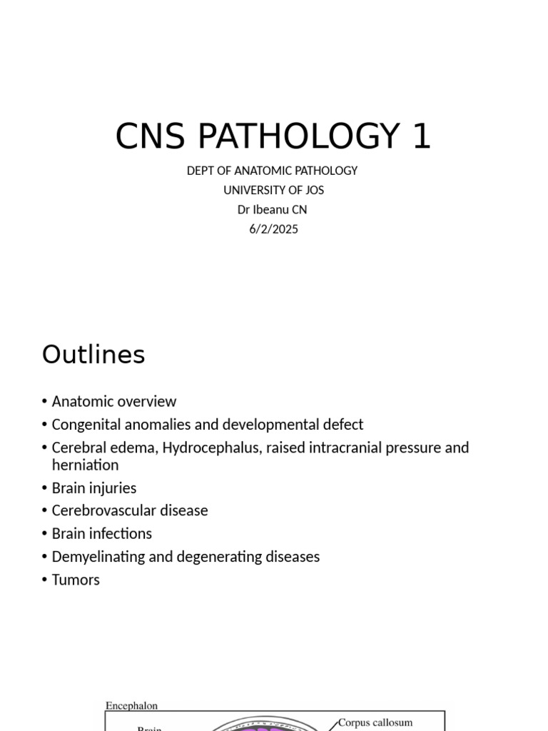 Cns Pathology Edited | PDF | Stroke | Ischemia