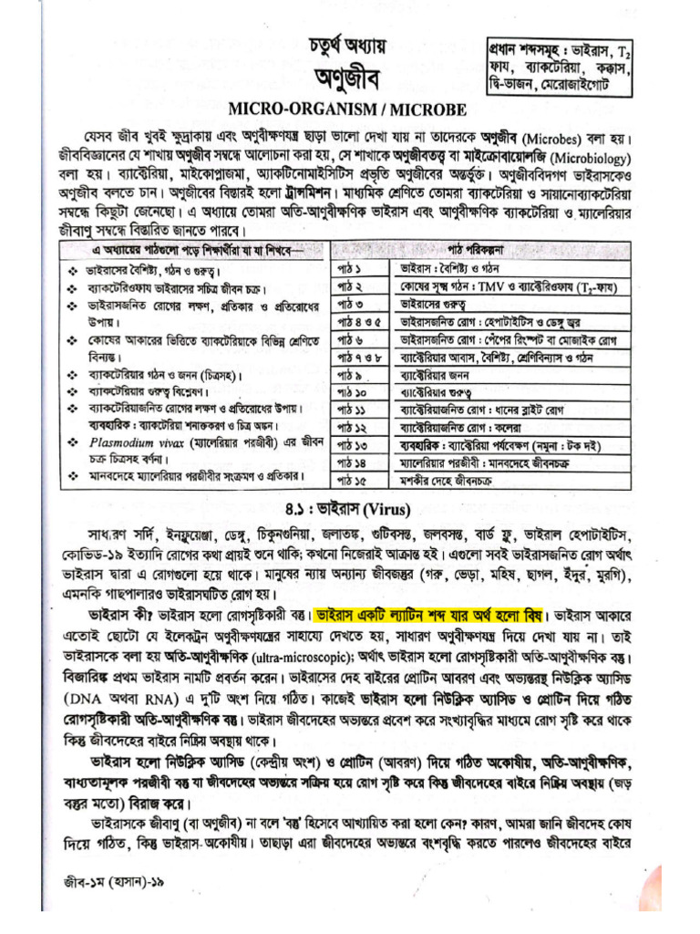 Botany Ch-4 Micro Virus New 25 | PDF