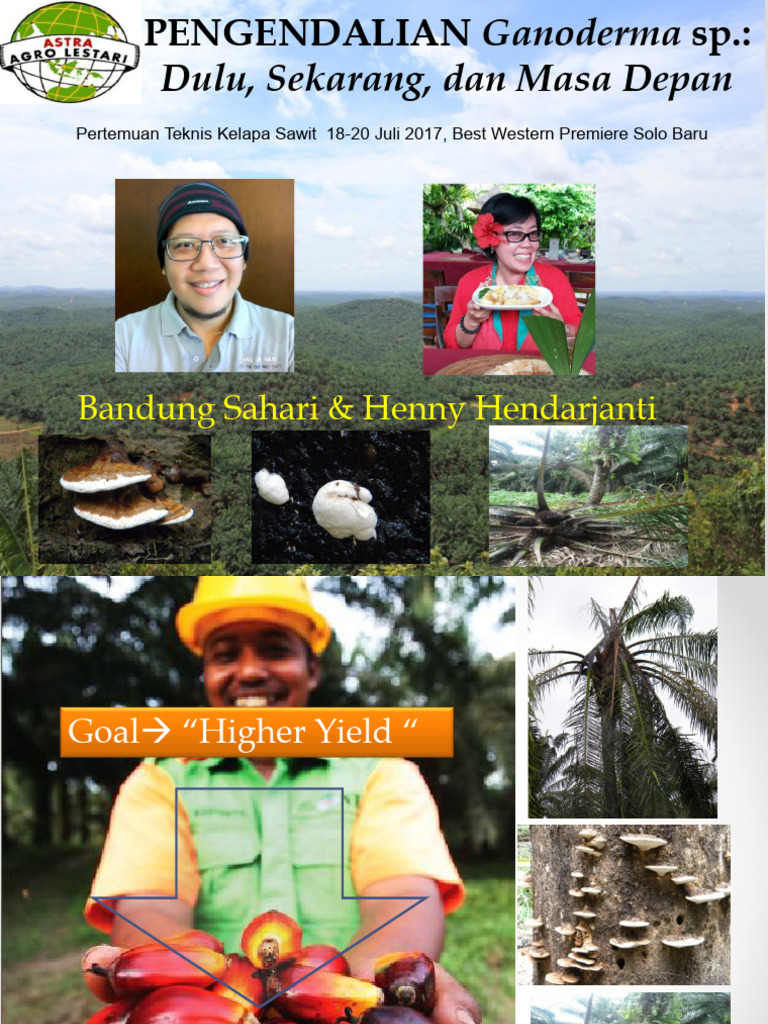 Pengendalian Ganoderma SP Dulu Sekarang Dan Masa Depan | PDF