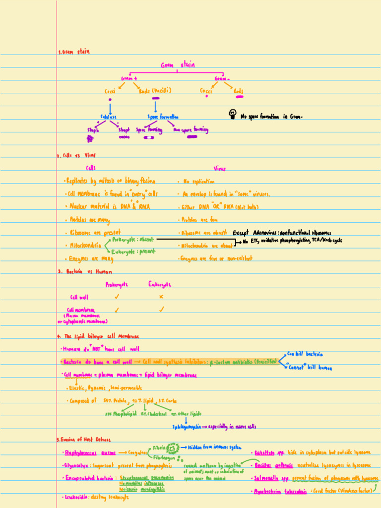 Bacteria vs Virus: Key Differences | PDF | Bacteria | Prokaryote