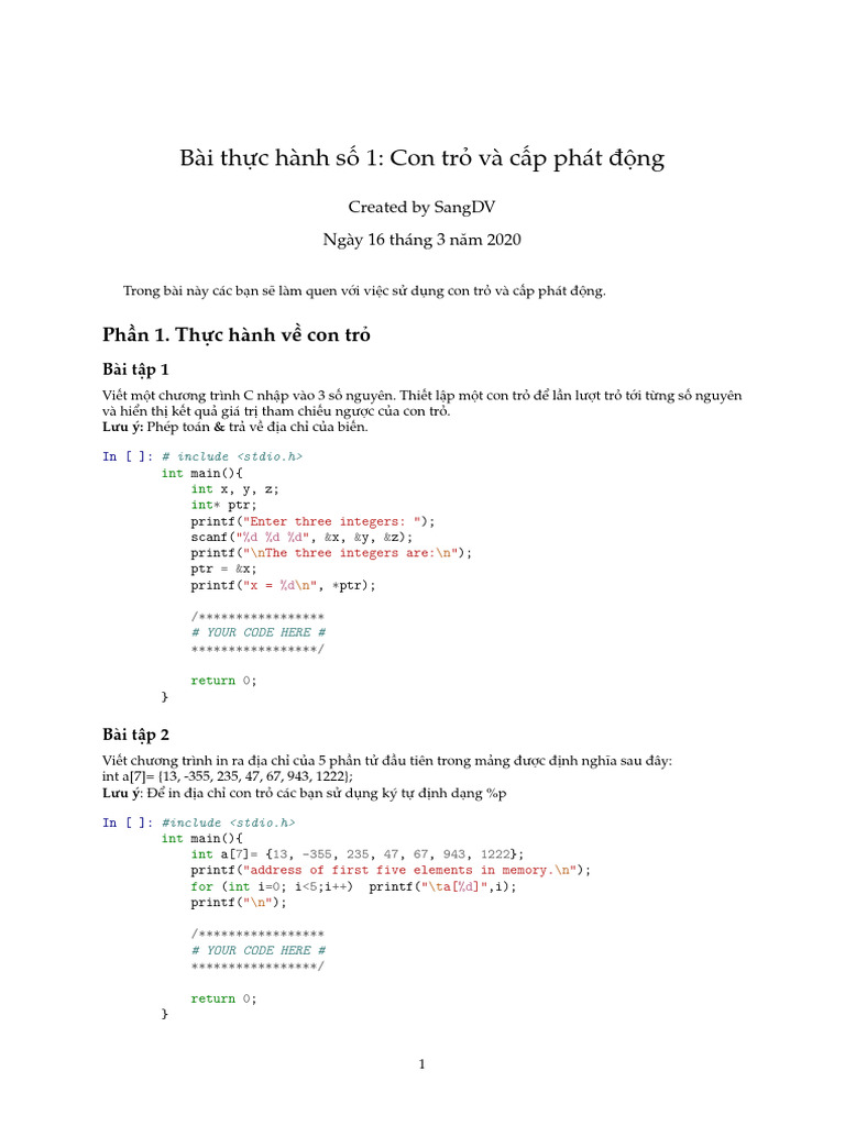Bai Thuc Hanh So 1 Con Tro Va Cap Phat Dong T23do5ZT4vqfBNL 100206 | PDF