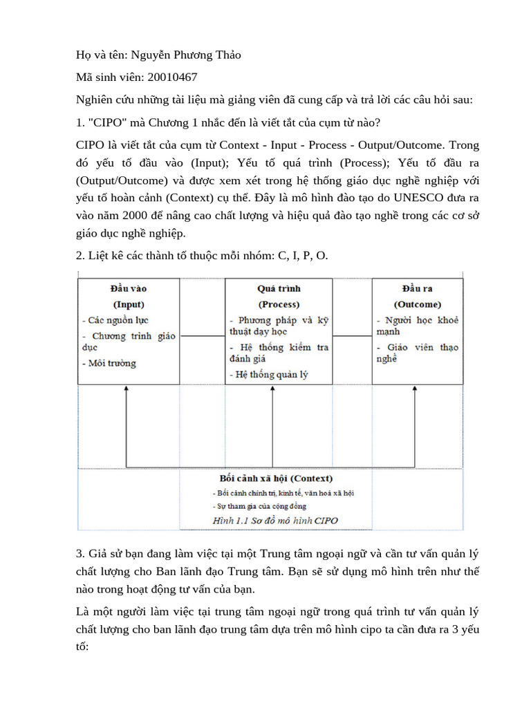 Mô Hình CIPO | PDF