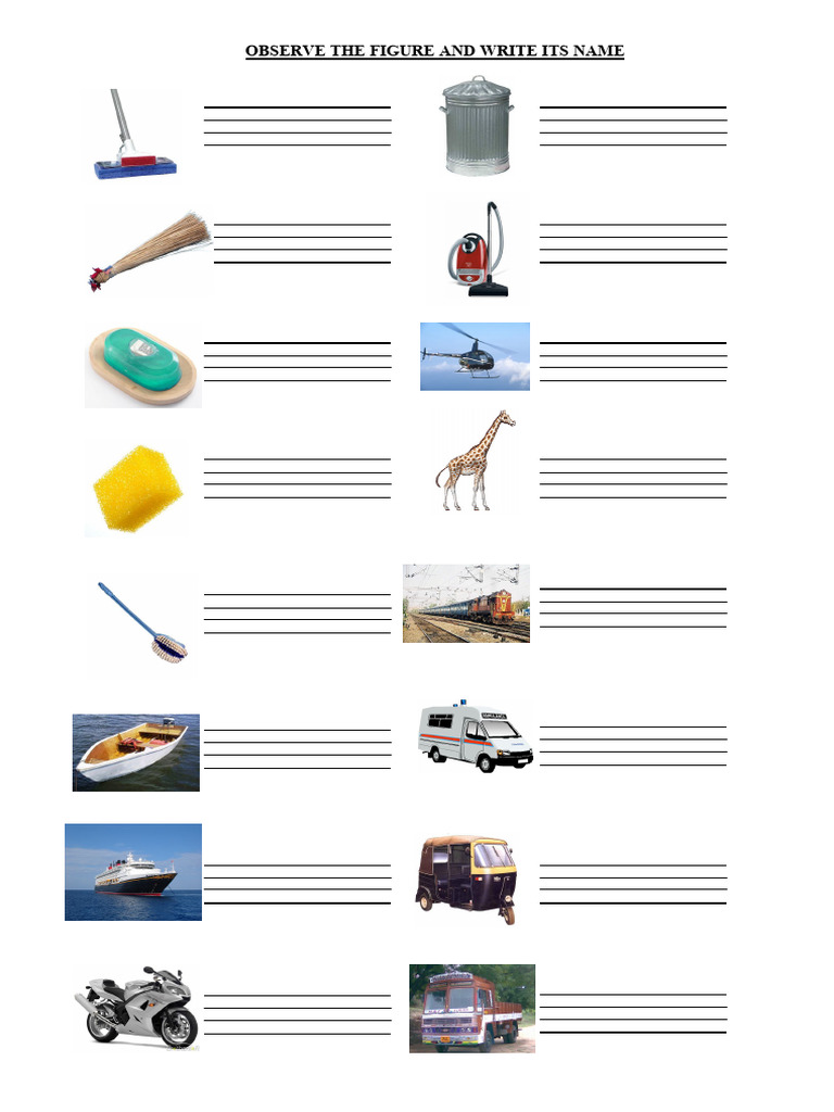 Evs Worksheet Class II 01 | PDF