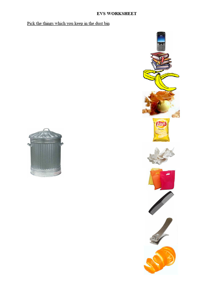 EVS Worksheet: Waste and Hygiene Activities | PDF