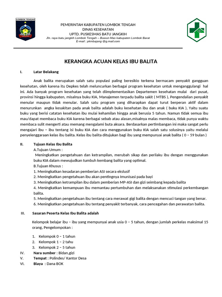 Kelas Ibu Balita: Program Kesehatan Optimal | PDF