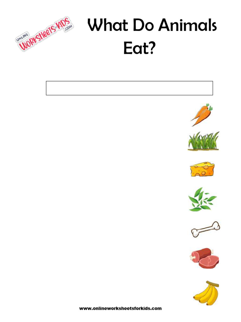 What Do Animals Eat Worksheet For Grade 1-7 | PDF