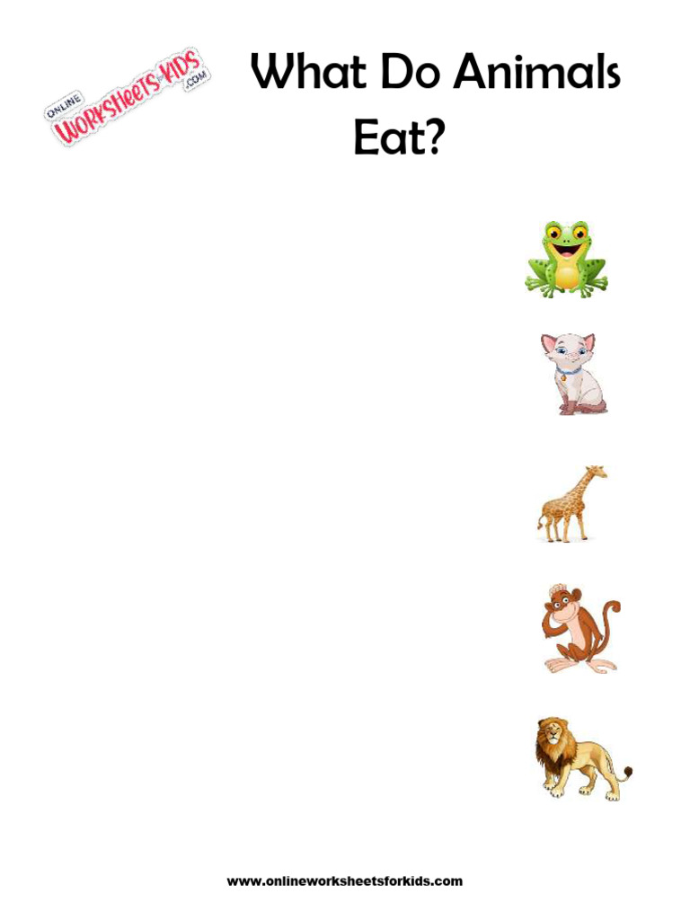 What Do Animals Eat Worksheet For Grade 1-8 | PDF