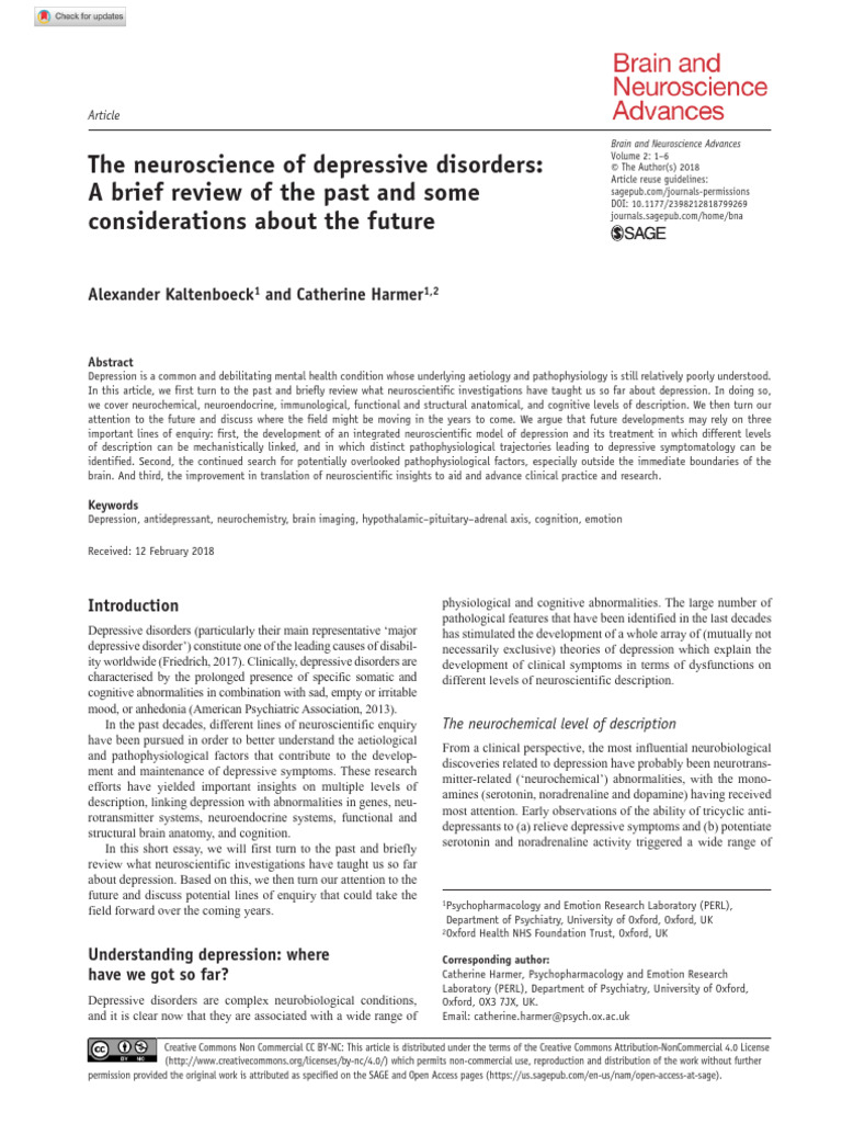 Neuroscience Insights on Depression | PDF | Major Depressive Disorder ...