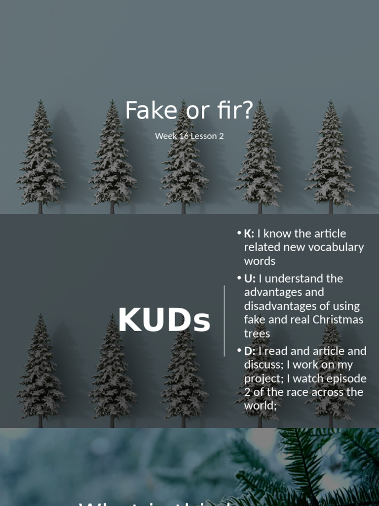 Christmas Trees: Fake vs. Real Debate | PDF