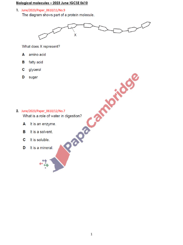 2023 Biological Molecules IGCSE 0610 Biology | PDF