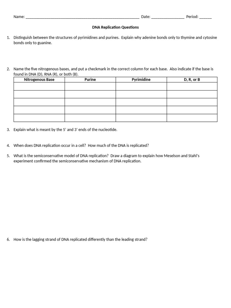 DNA replication questions with Sketch notes | PDF