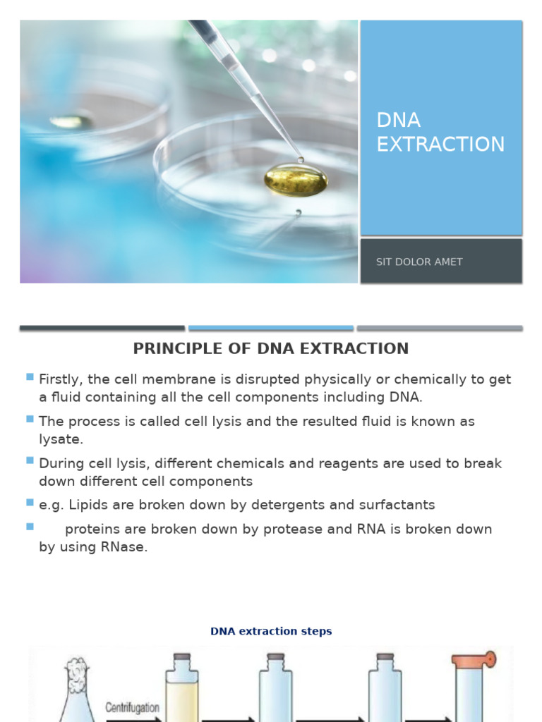 Chapter 3 Part 1 DNA Extraction-V20220623084514 | PDF | Lysis ...