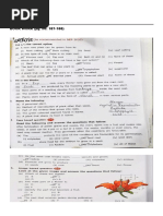 Types and Benefits of Seed Beds | PDF | Crops | Seed