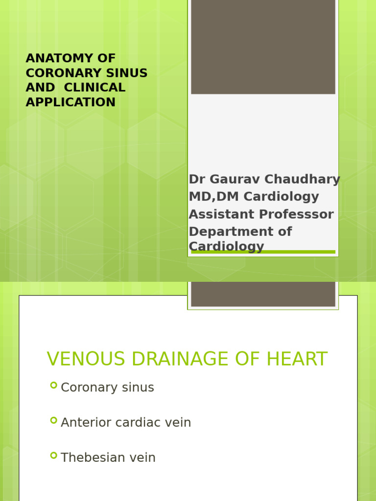 Coronary Sinus Anatomy | PDF | Coronary Circulation | Vein