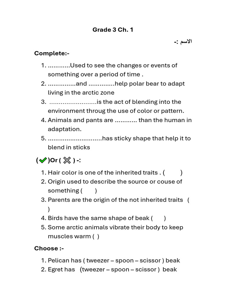 grade 3 Ch. 1 | PDF
