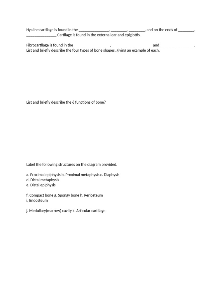 Bone Worksheet | PDF