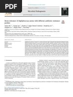 Understanding Skin Normal Flora | PDF | Staphylococcus | Streptococcus