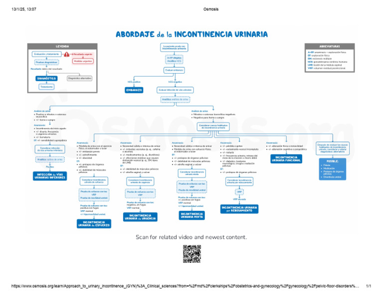 Approach To Urinary Incontinence (GYN) - Video & Meaning - Osmosis | PDF