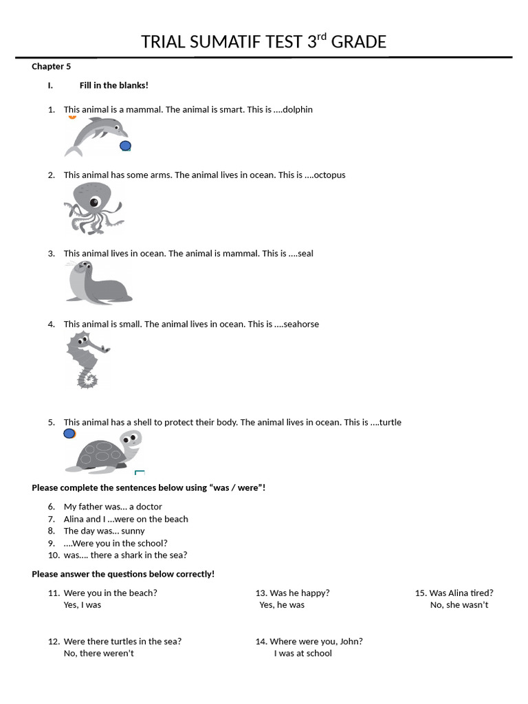 3rd Grade Summative Test Practice | PDF