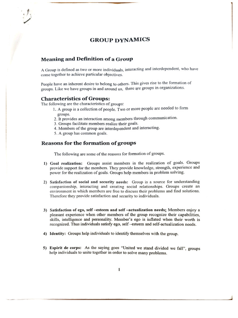 Group Dynamics | PDF