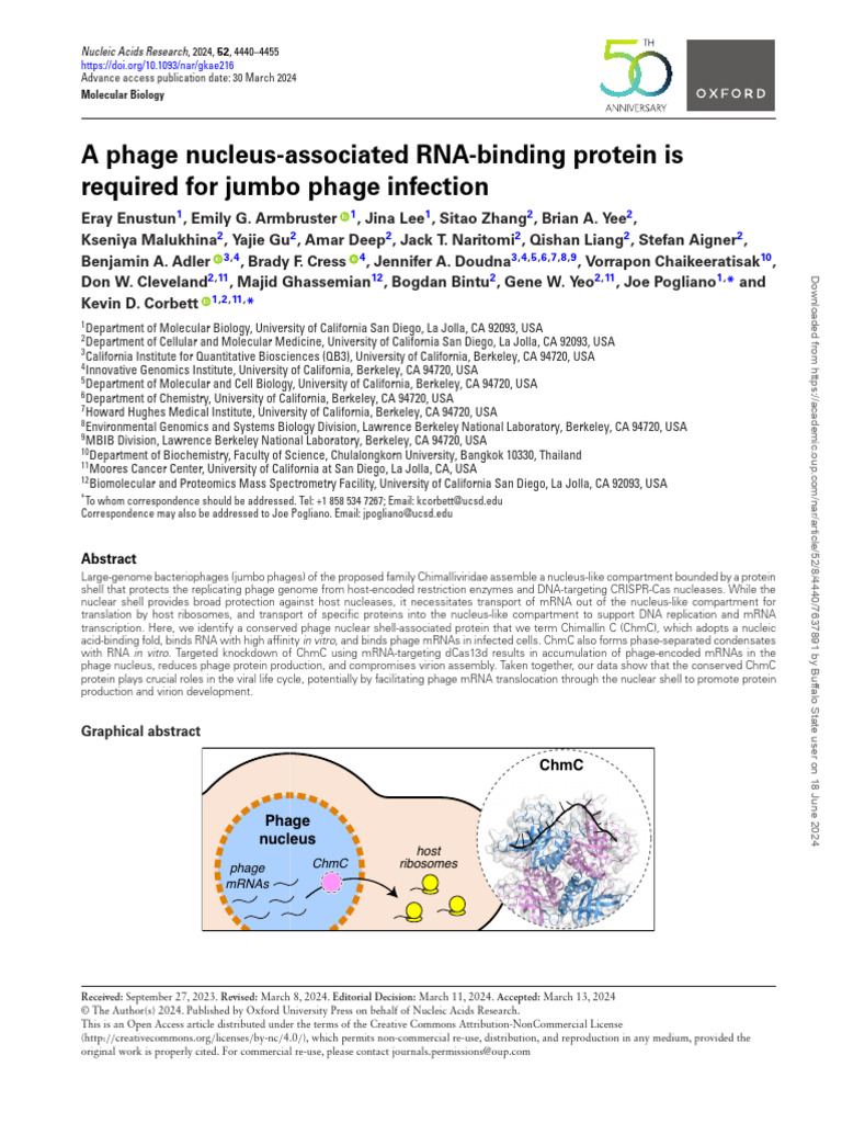 A phage nucleus-associated RNA-binding protein is required for jumbo ...