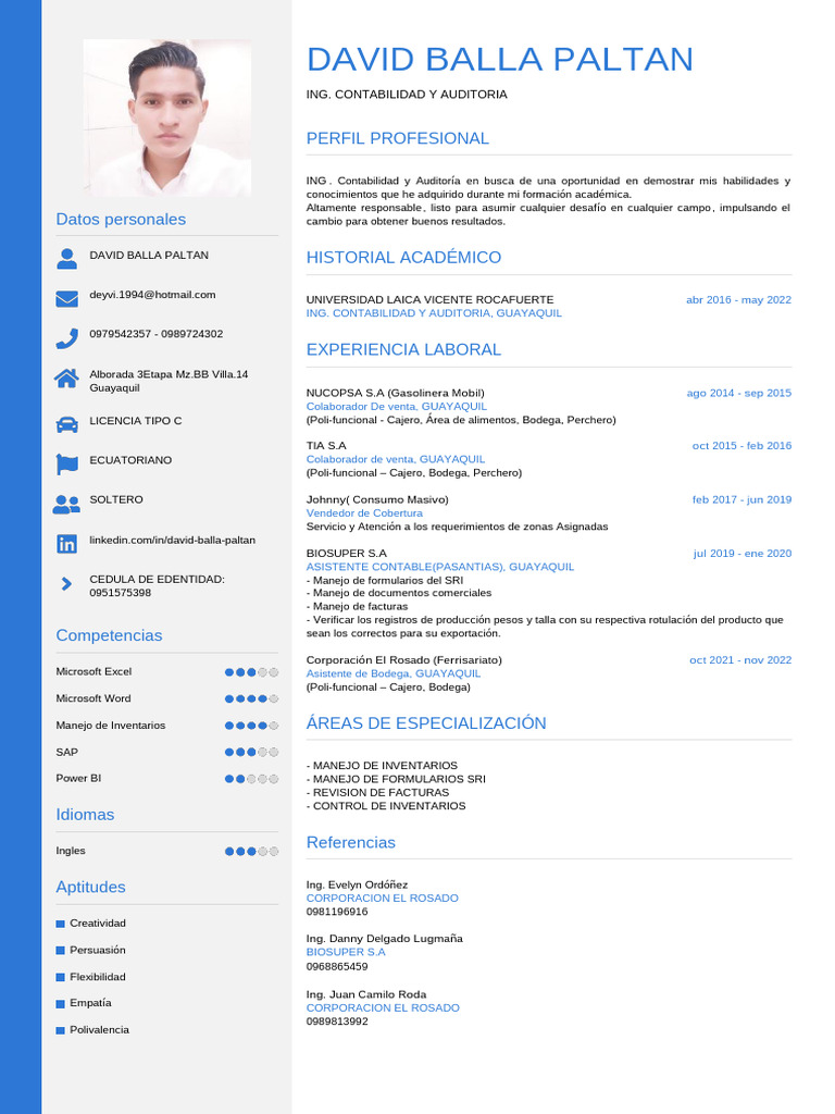 Perfil Profesional de David Balla Paltan | PDF | Contabilidad | Negocios económicos