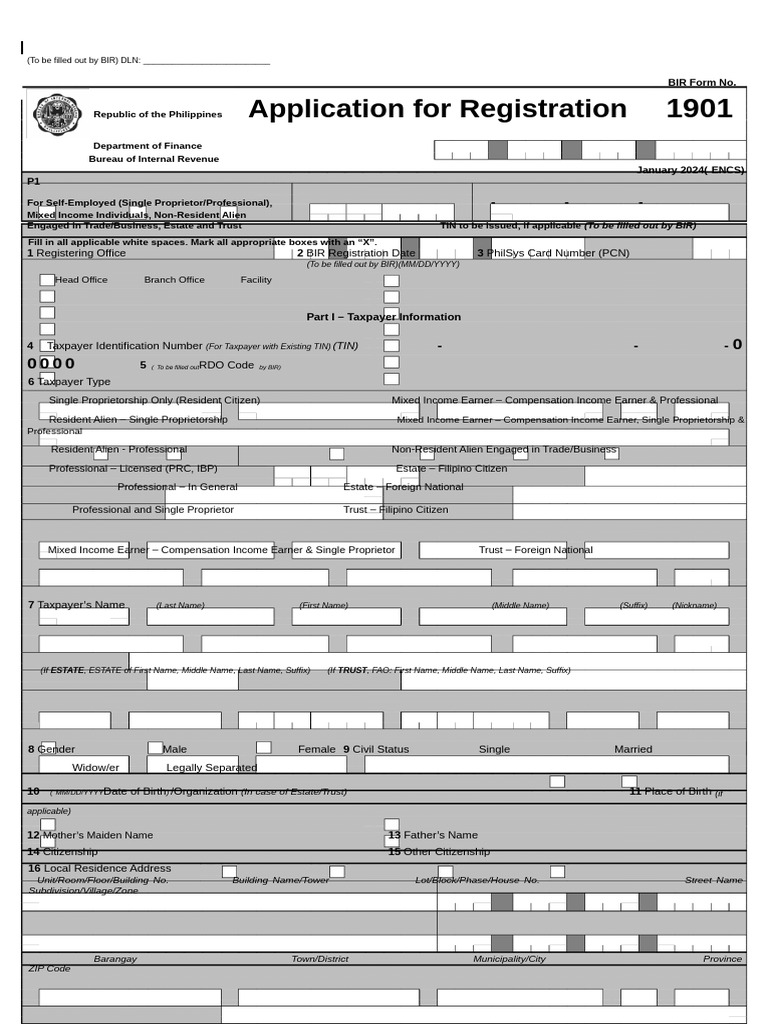 BIR Form 1901 Registration Guide | PDF | Identity Document | Sole ...