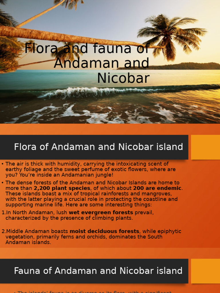 Andaman and Nicobar Flora and Fauna Overview | PDF