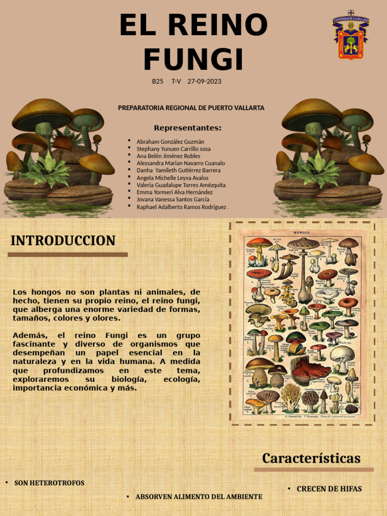 Presentacion de Hongos | PDF | Hongo | Seta