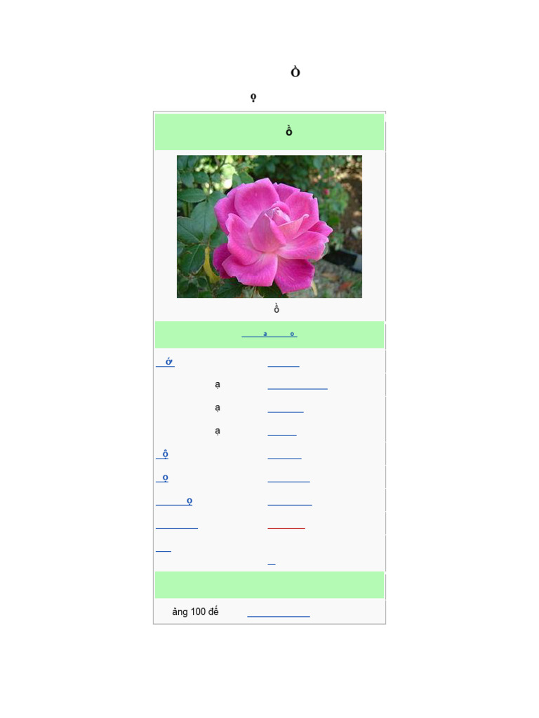 13.-cay-hoa-hong | PDF