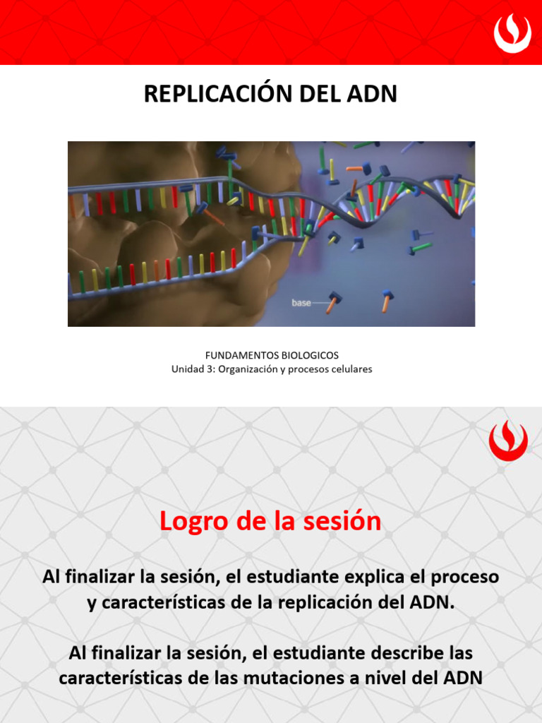 S9 - PPT Te01 | PDF | Replicación De Adn | Adn