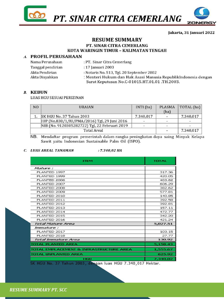 Sinar Citra Cemerlang, PT - Executive Resume Summary (2) - With Price | PDF