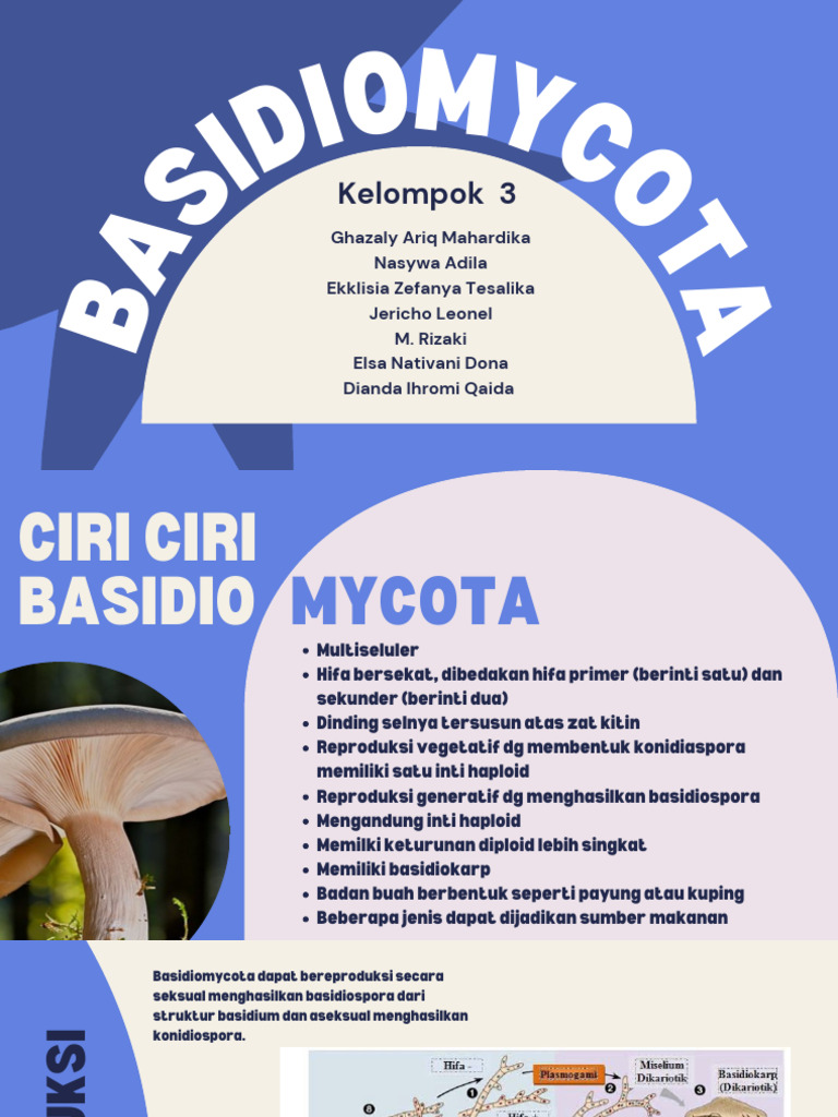 Ciri dan Contoh Basidiomycota Fungi | PDF