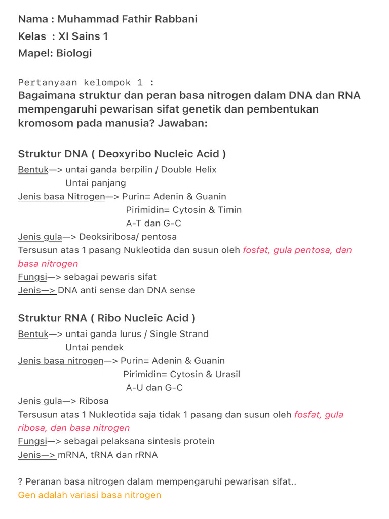 Struktur dan Peran DNA & RNA | PDF