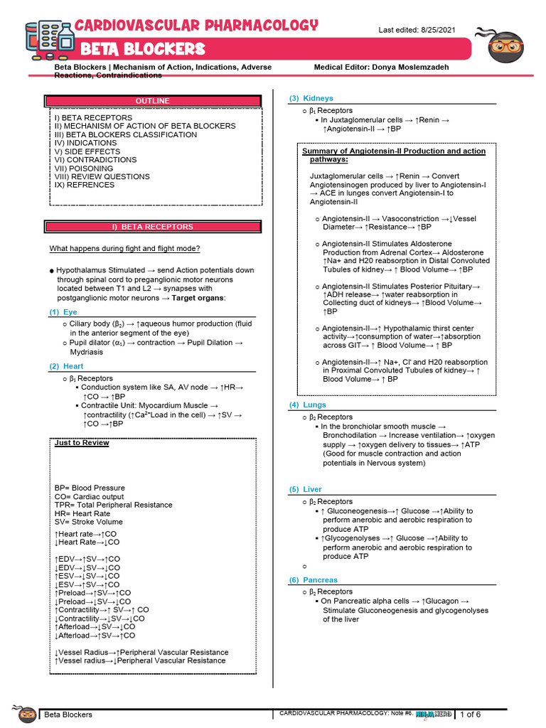 Understanding Beta Blockers in Cardiology | PDF | Muscle Contraction ...