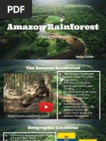 Charts and Graphs About the Amazon Rainforest | PDF | Amazon Rainforest | Deforestation