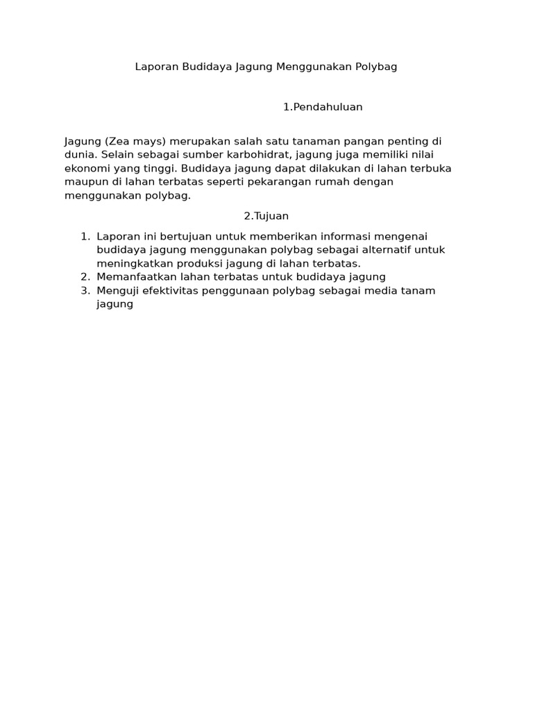 Laporan Budidaya Jagung Pak Arip | PDF