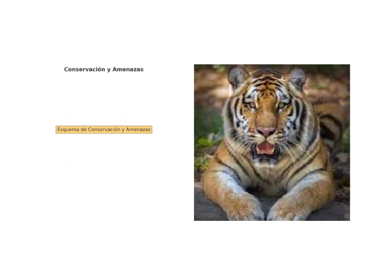 Conservación del Tigre en Peligro | PDF