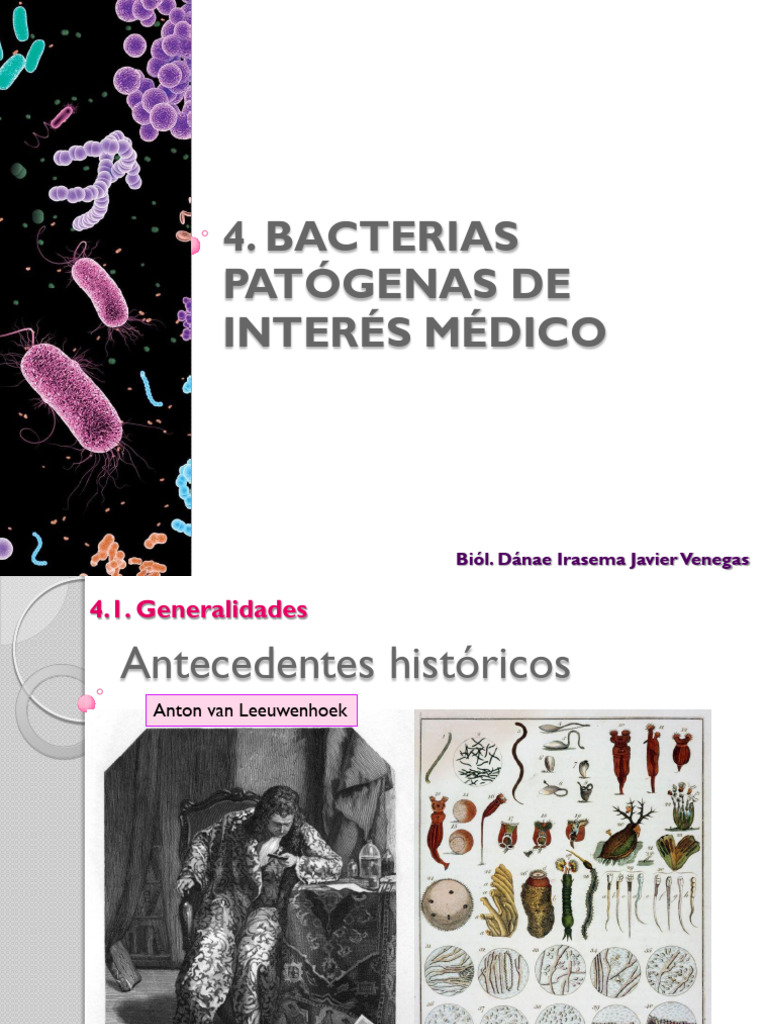 Bacterias Patógenas: Estructura y Clasificación | PDF | Las bacterias ...